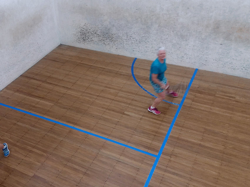 Gallery – Nelson Squash Rackets Club